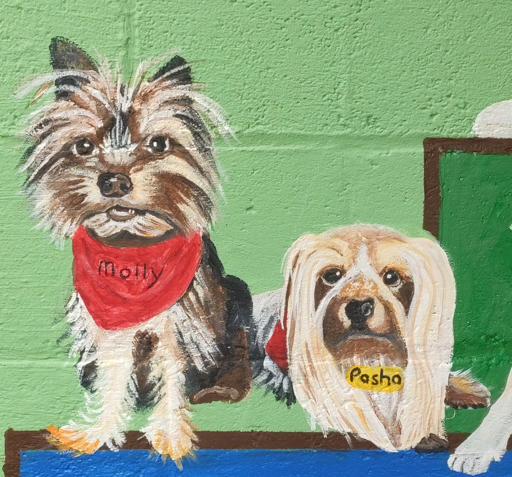 Pet Mural - Montgomery County Emergency Assistance Program