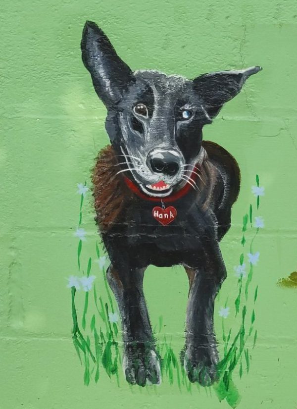 Pet Mural Project - Montgomery County Emergency Assistance Program