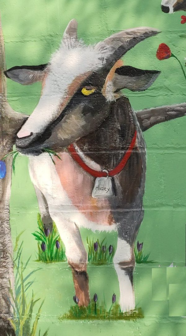 Pet Mural Project - Montgomery County Emergency Assistance Program