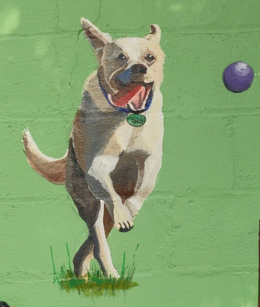 Pet Mural Project - Montgomery County Emergency Assistance Program